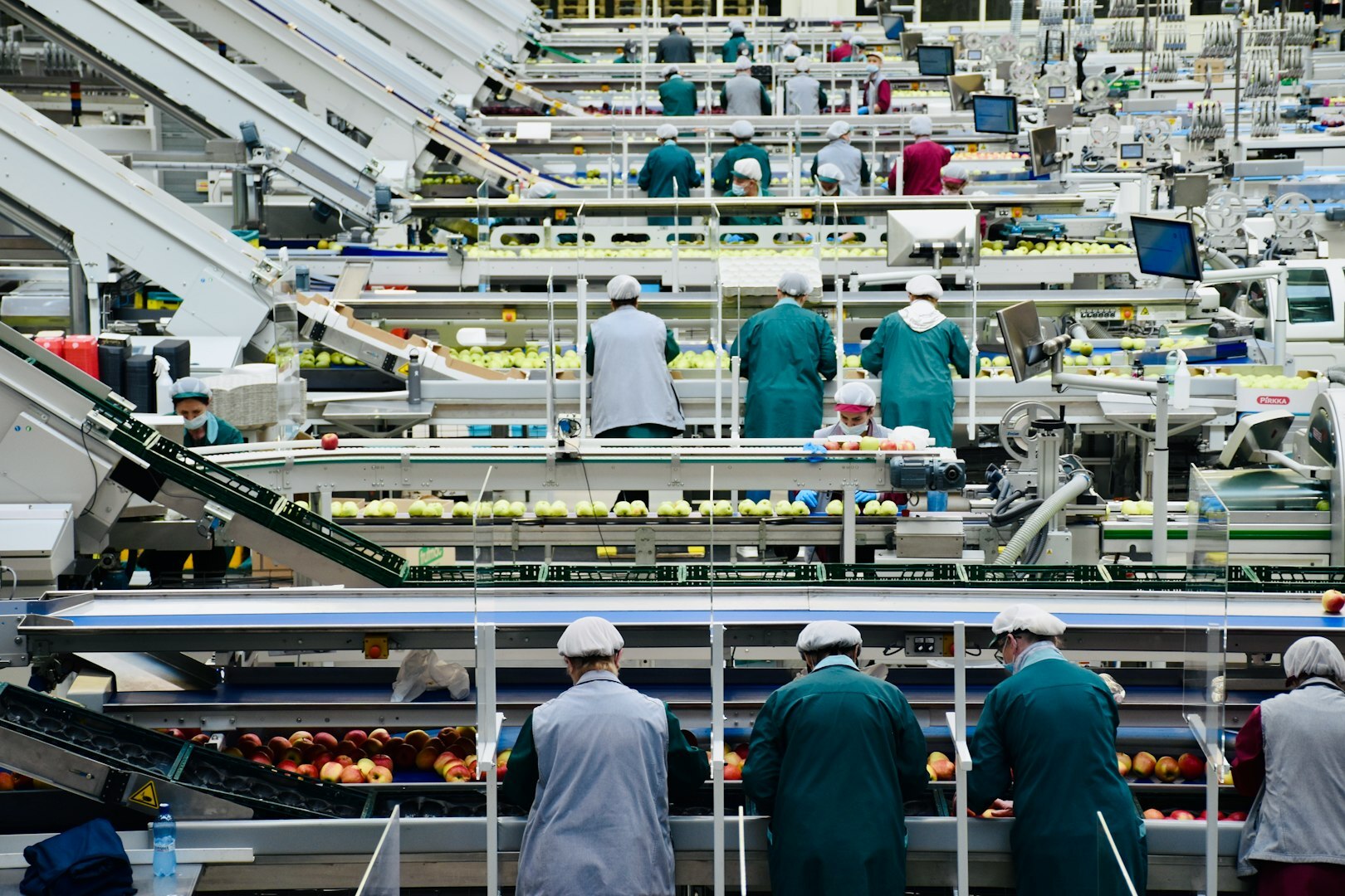 QCT Global » GMP in Food Industry: Standards for Safety & Quality